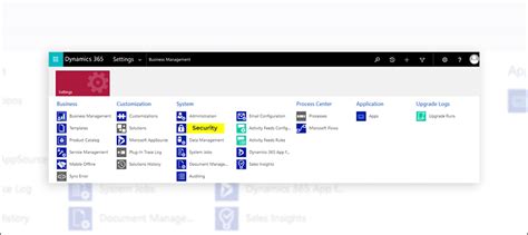 Set Up Custom Security Roles In Dynamics 365 Crm