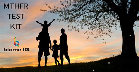 Mthfr Mutation Test