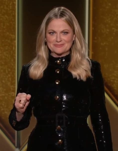 11 Celebrities Who Have Hosted The Golden Globes From Seth Meyers To