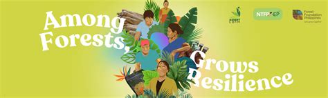 Among Forests Grows Resilience A Cbfm Storytelling Ntfp Ep