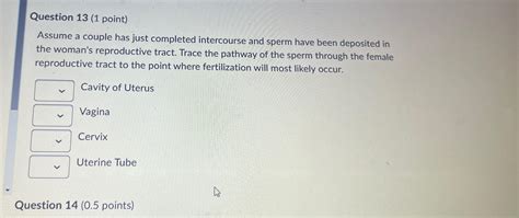 Question Point Assume A Couple Has Just Chegg Com