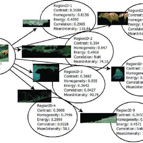 Region Metadata Based On Descriptive Statistics First Order Statistics