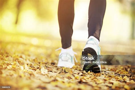 여자 걷기 크로스 컨트리 및 트레일 중 베스키드 산의 가을 숲 가을에 대한 스톡 사진 및 기타 이미지 가을 건강한 생활방식 걷기 Istock