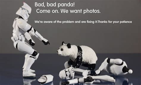 10 Ways The Panda Algorithm May Evaluate Your Website Business