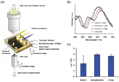 A Schematic Of The On Chip Nanohole Array Platform Detection Scheme
