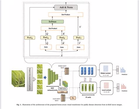 Illustration Of The Architecture Of The Proposed Lesion Aware Visual Download Scientific