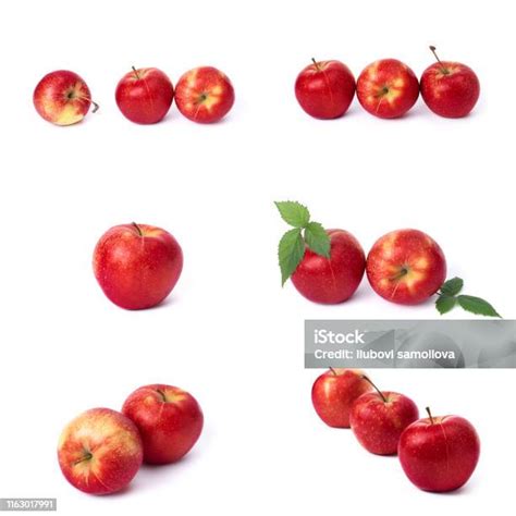 흰색 배경에 빨간 사과 세트입니다 흰색 배경에 노란색 반점이있는 붉은 색의 수분이 많은 사과 육즙이 빨간 사과의 구성 0명에 대한 스톡 사진 및 기타 이미지 Istock