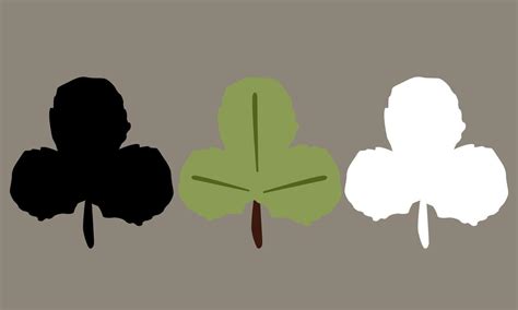 Illustration Set Palmatilobate Leaves 51076661 Vector Art At Vecteezy