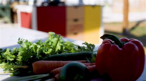 The Charlie Cart Project Best National Food Education Program