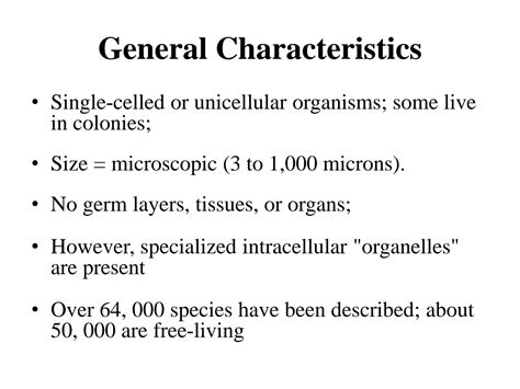 Solution Phylum Protozoa Presentation For Microbiology Students