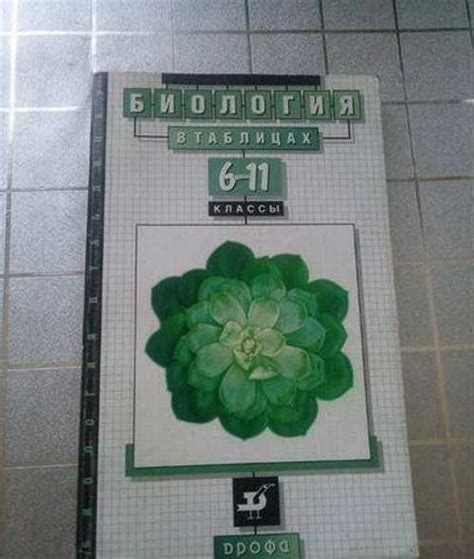 Биология в таблицах 6 11 класс Festima Ru частные объявления