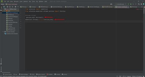 Selenium Python Invoke Chrome Browser And Load Site To Automate