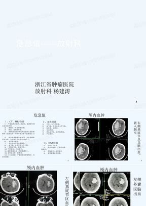危急值PPT模板 危急值PPT模板下载 熊猫办公