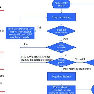 DNA Barcode Validation Workflow Download Scientific Diagram
