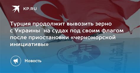 Турция продолжит вывозить зерно с Украины на судах под своим флагом после приостановки