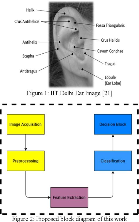 Table 1 From Human Ear Identification System Using Shape And Structural