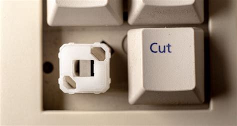 Navigating The Uncertainties Of Sex Tech Can Layoffs Be Avoided Future Of Sex