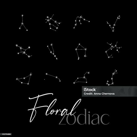 꽃 조디악 별자리 세트 양자리 황소자리 쌍둥이 자리 암 레오 처녀자리 천칭 자리 전갈 자리 궁수자리 염소 자리 물병자리 물고기자리 0명에 대한 스톡 벡터 아트 및 기타