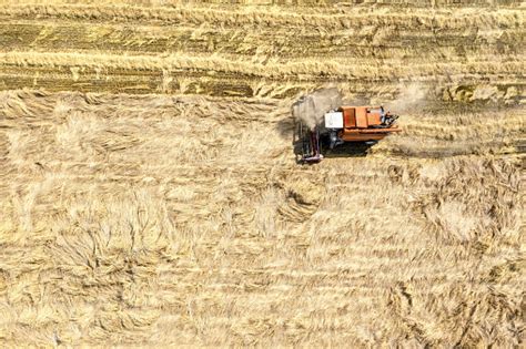 잘 익은 밀 밭에서 일하는 농업 수확기 기계 비행 무인 항공기에서 공중 최고 보기 0명에 대한 스톡 사진 및 기타 이미지 0명 가을 경관 Istock