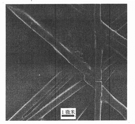 One Dimensional Micron Or Submicron Material Of Polypyridine Platinum