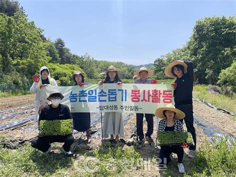 청주 탑대성동 농촌일손돕기 봉사활동