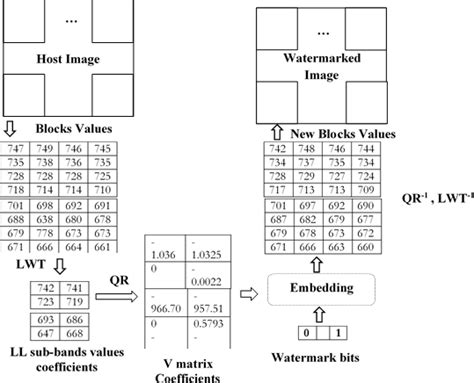 Example Of Bits Embedding Download Scientific Diagram