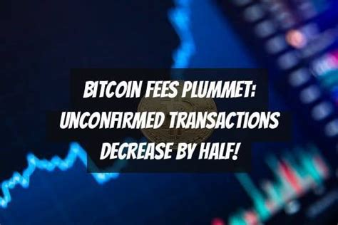 Bitcoin Fees Plummet Unconfirmed Transactions Decrease By Half Rlolacoin