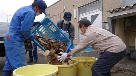 今年も新鮮ホタテ1㌧ 宗谷漁協が福祉施設6カ所に寄贈 稚内プレス社