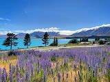Blue Lake W Nowej Zelandii 2 Online Jigsaw Puzzle