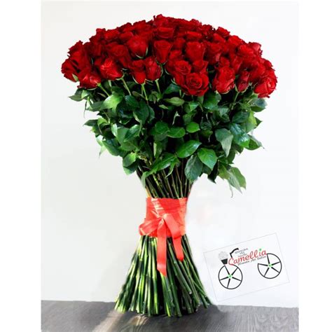 თაიგული 75ც ვარდი თ Camellia Ge ვარდი ვარდები თაიგული