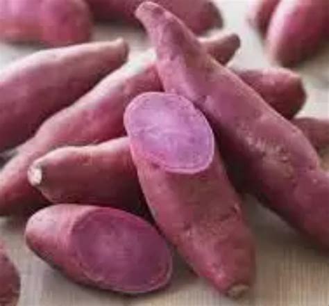 ငန်စွန်းဥအကြောင်းသိကောင်းစရာ Sarphat