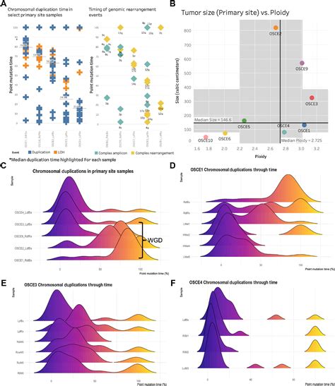 Figure 3 From Subclonal Somatic Copy Number Alterations Emerge And Dominate In Recurrent