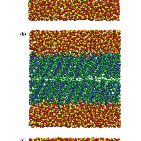 Snapshots From The Simulations Of The Perfluorinated Sams On Amorphous Download Scientific