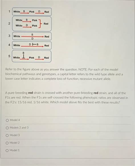 solved 2 3 4 5 refer to the figure above as you answer the