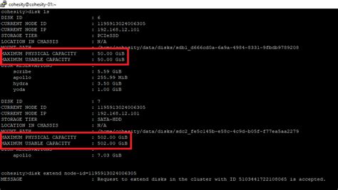 VirtWorld Cohesity Virtual Edition Expand Disk Capacity