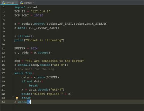 Tcp Socket Programming In Python Serverclient