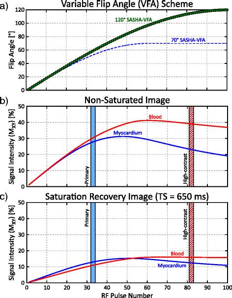 Bloch Equation Simulation Of A Sinusoidal Ramped Variable Flip Angle Download Scientific