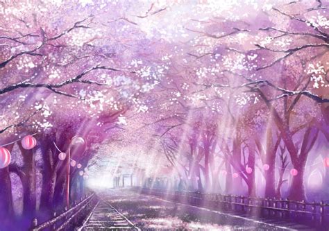 Cherry Blossoms Anime Scenery Wallpapers Top Free Cherry Blossoms Anime Scenery Backgrounds