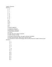 Chapter Exercises Docx Chapter Exercises Exercise E J F L H N B