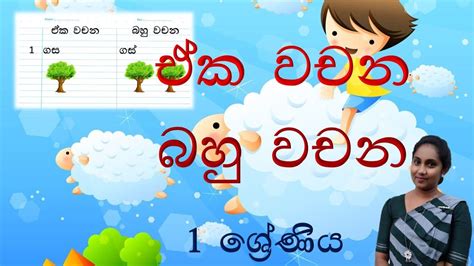 01 ශ්‍රේණිය ඒක වචන පද සහ බහු වචන පද Youtube