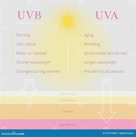 UVB And UVA Ultraviolet Rays Difference Inforgaphics About Sun Rays Types Stock Vector