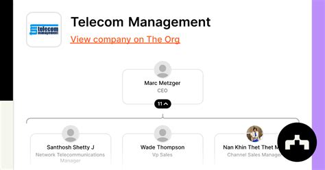 Telecom Management The Org