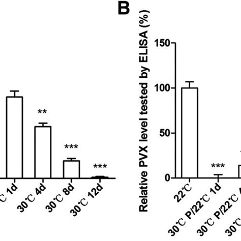 Virus Accumulation Of Potato Virus X Pvx Infected Or Potato Virus Y Download Scientific