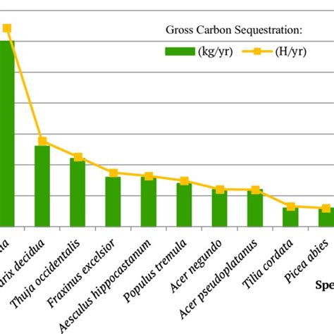 Estimated Carbon Sequestration And Cost Of This Ecosystem Service By Download Scientific