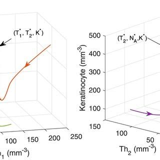 Stability Analysis Of System Using Different Cell Population And Download Scientific