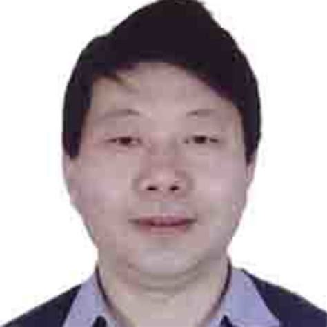 Lan Chen Professor Phd National Center For Nanoscience And Technology Beijing Ncnst