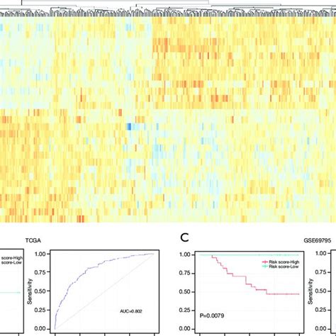 Hypoxia Related Prognostic Risk Model Constructing And Validation A Download Scientific