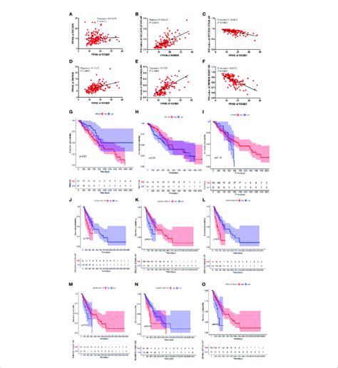 The Correlation Analysis Was Performed Using Pearson T Test And K M Download Scientific