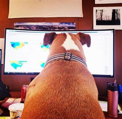 Mathworks On Linkedin Working Hard In Matlab 🐶 Thanks To Toddbaloney