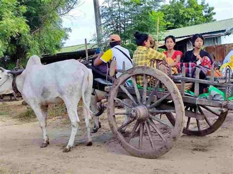 ခင်ဦးရှိ ကျေးရွာများကို စစ်တပ်က စစ်ကြောင်းထိုးနေသောကြောင့် ပြည်သူ ၆၀၀၀ ကျော် ထွက်ပြေးတိမ်းရှောင